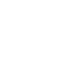 Planetary Roller Screws Company & Manufacturers | Rollvis SA
